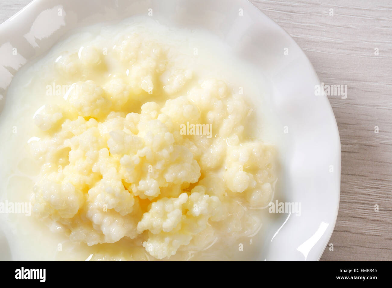 Organic probiotic milk kefir grains Stock Photo - Alamy