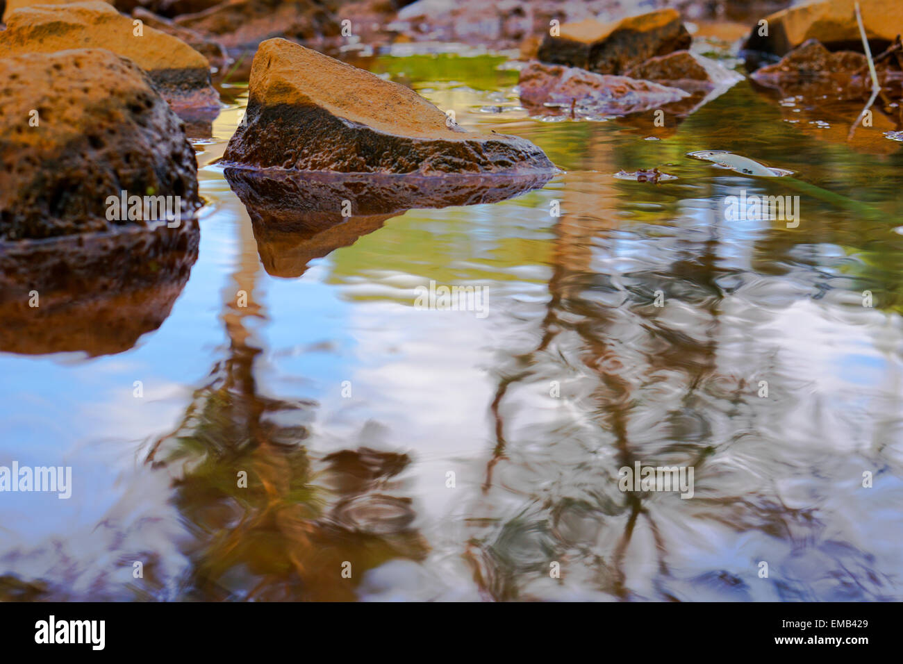 Moss Rocks Trees Stock Photos & Moss Rocks Trees Stock Images - Alamy