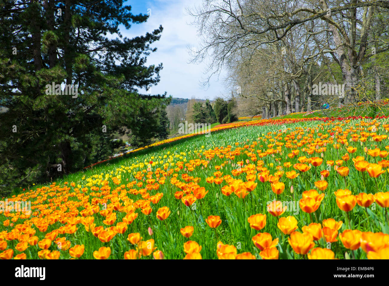 Flower Island of Mainau at Lake Constance Stock Photo - Alamy