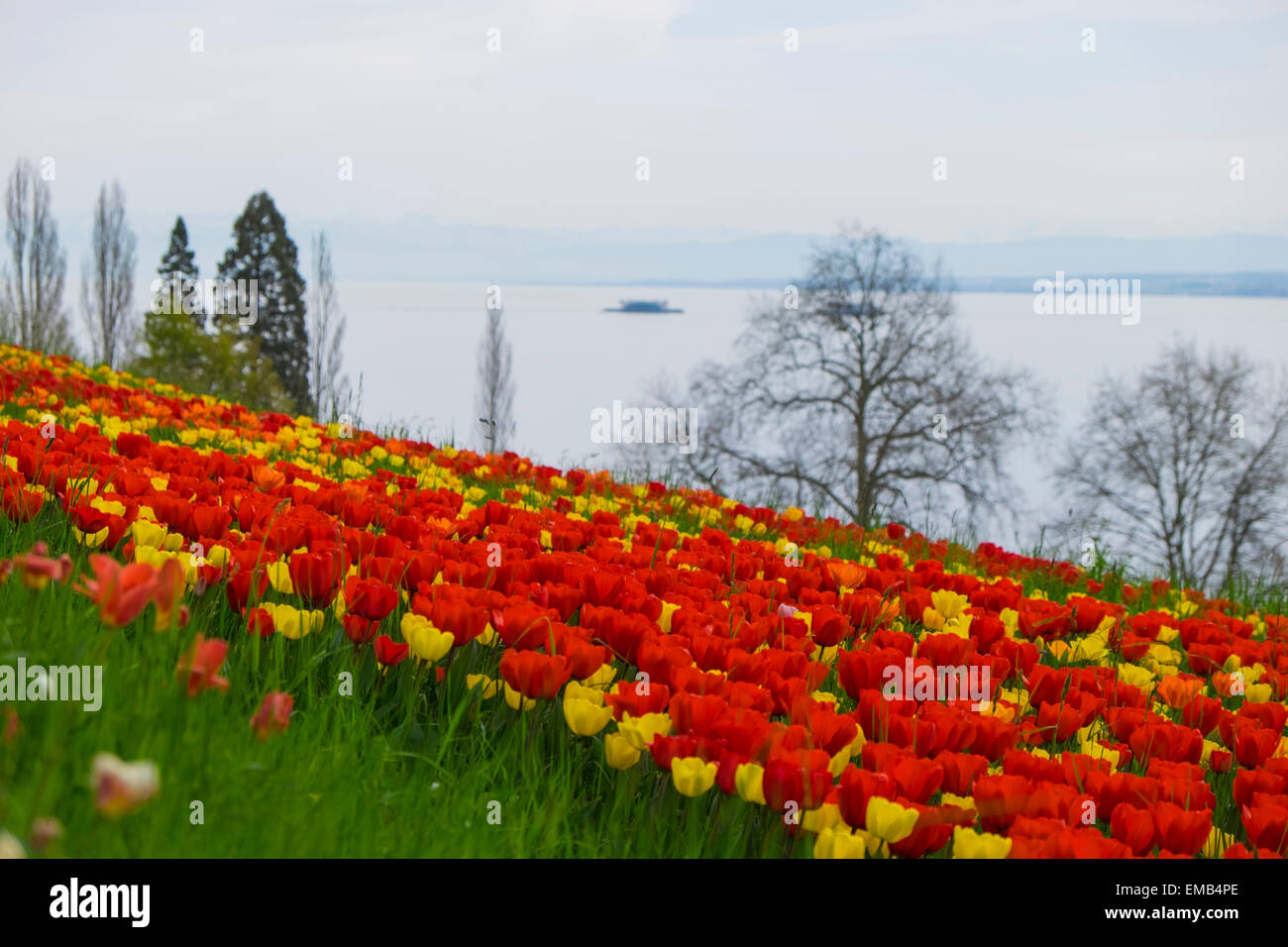 Flower Island of Mainau at Lake Constance Stock Photo - Alamy