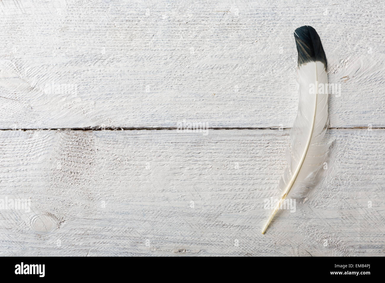 Falling Eagle Feather