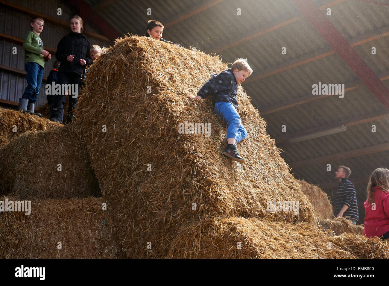 Arla milk products hi-res stock photography and images - Alamy
