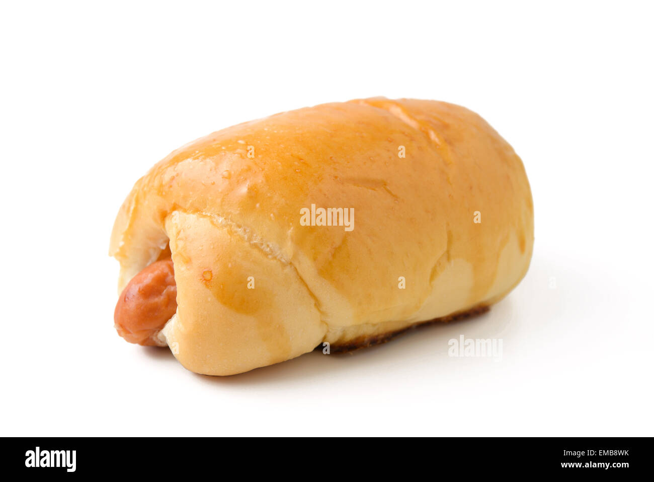 Bread eating dog hi-res stock photography and images - Alamy