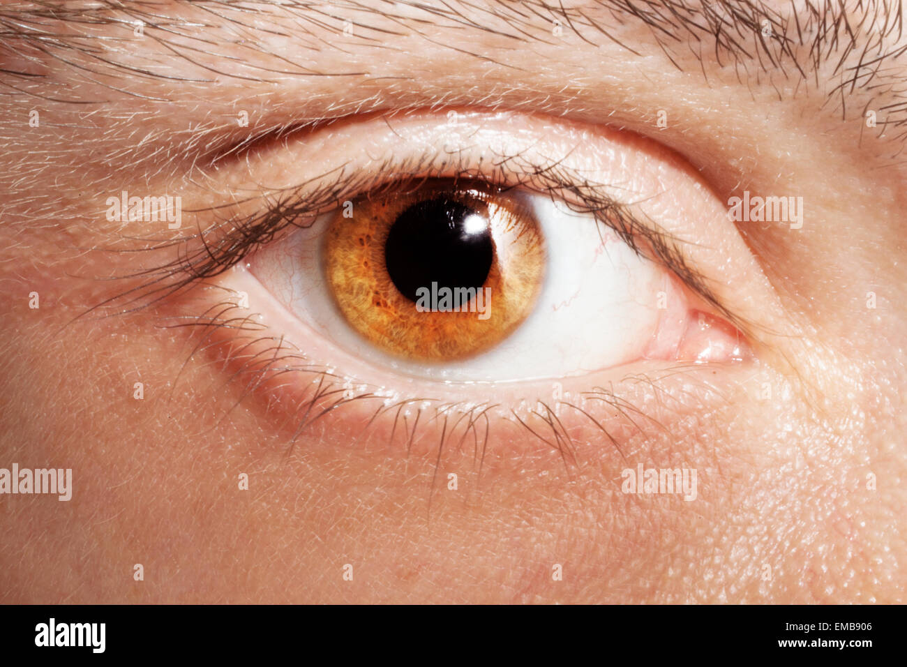 Human skin colors hi-res stock photography and images - Alamy