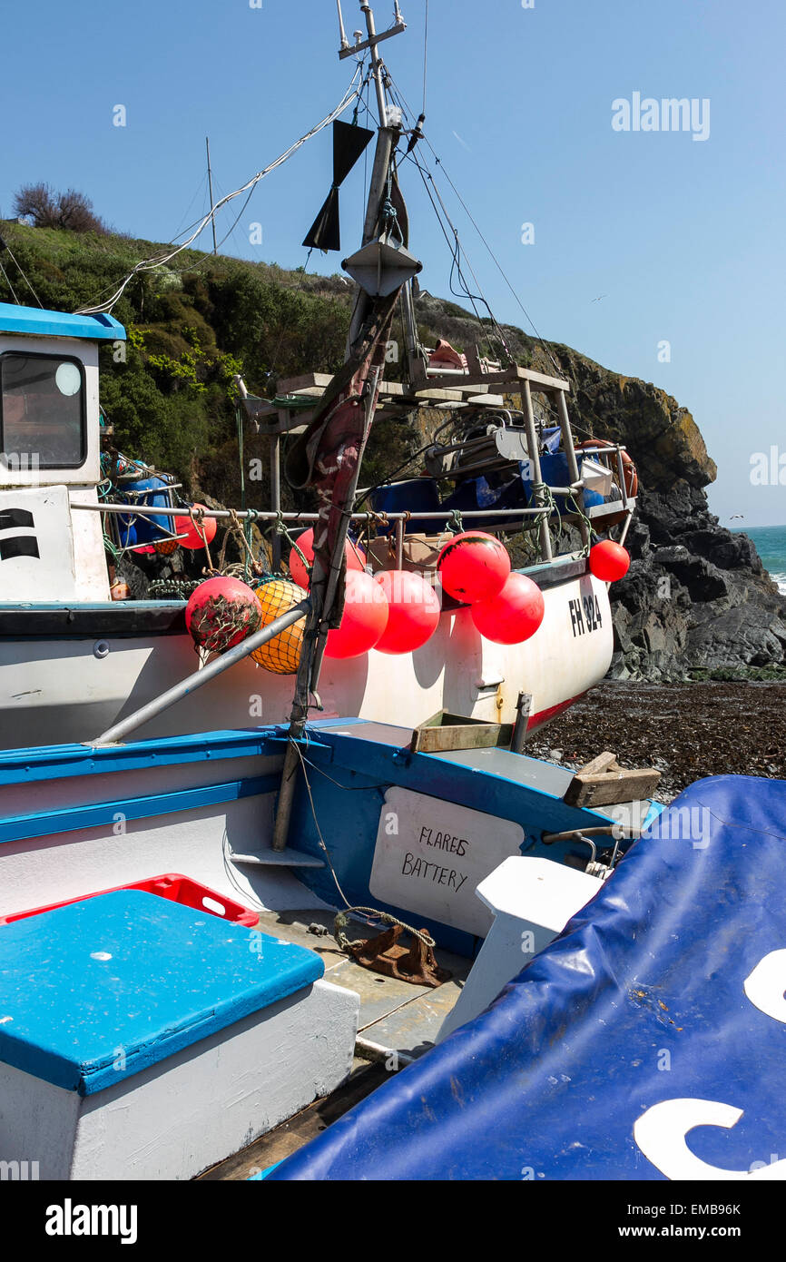 Cadgwith crab hi-res stock photography and images - Alamy