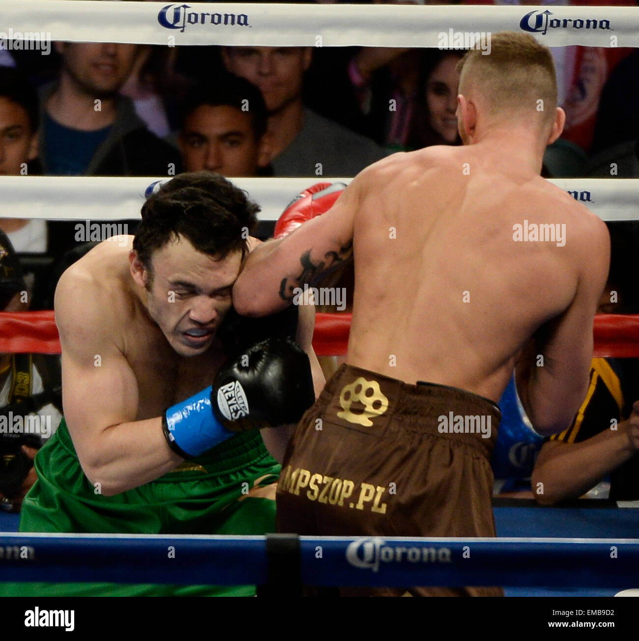 April 18.2015. Carson CA.(in Green trunks) Julio Cesar Chavez Jr only ...