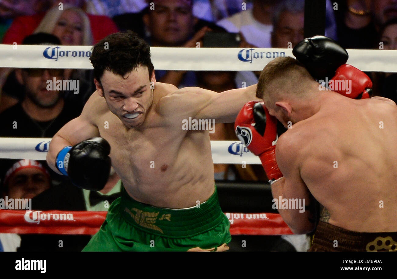 April 18.2015. Carson CA.(in Green trunks) Julio Cesar Chavez Jr only ...
