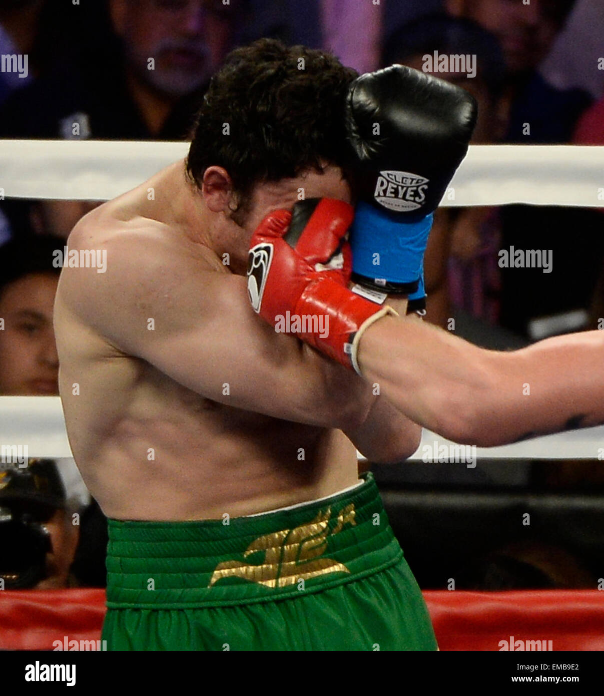 April 18.2015. Carson CA.(in Green trunks) Julio Cesar Chavez Jr only ...