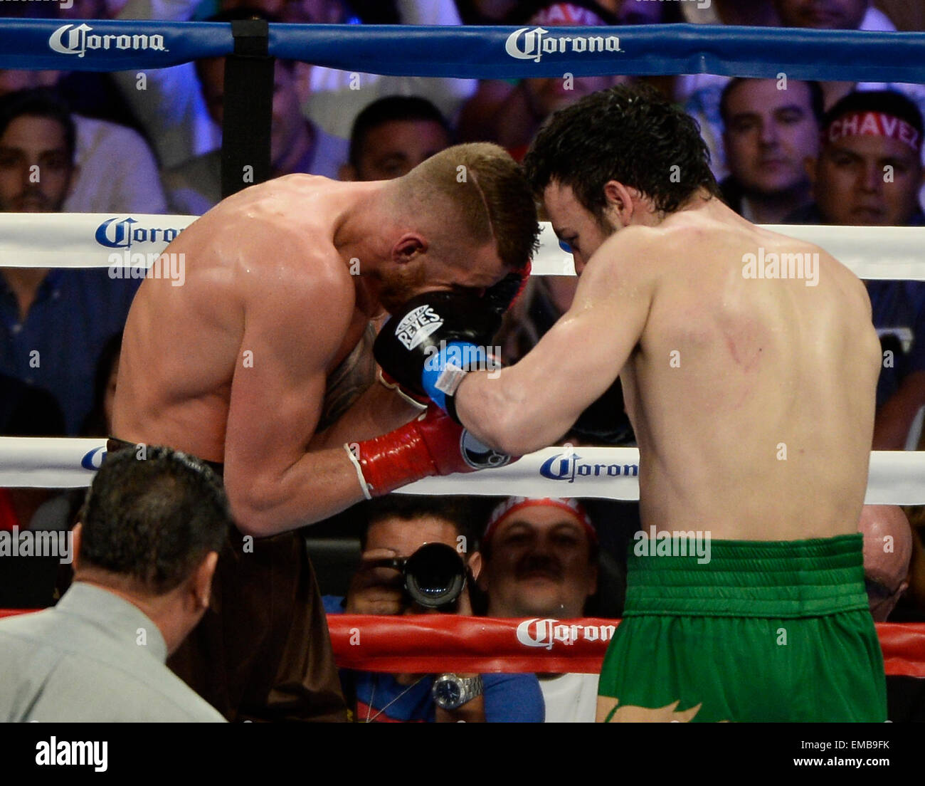 April 18.2015. Carson CA.(in Green trunks) Julio Cesar Chavez Jr only ...