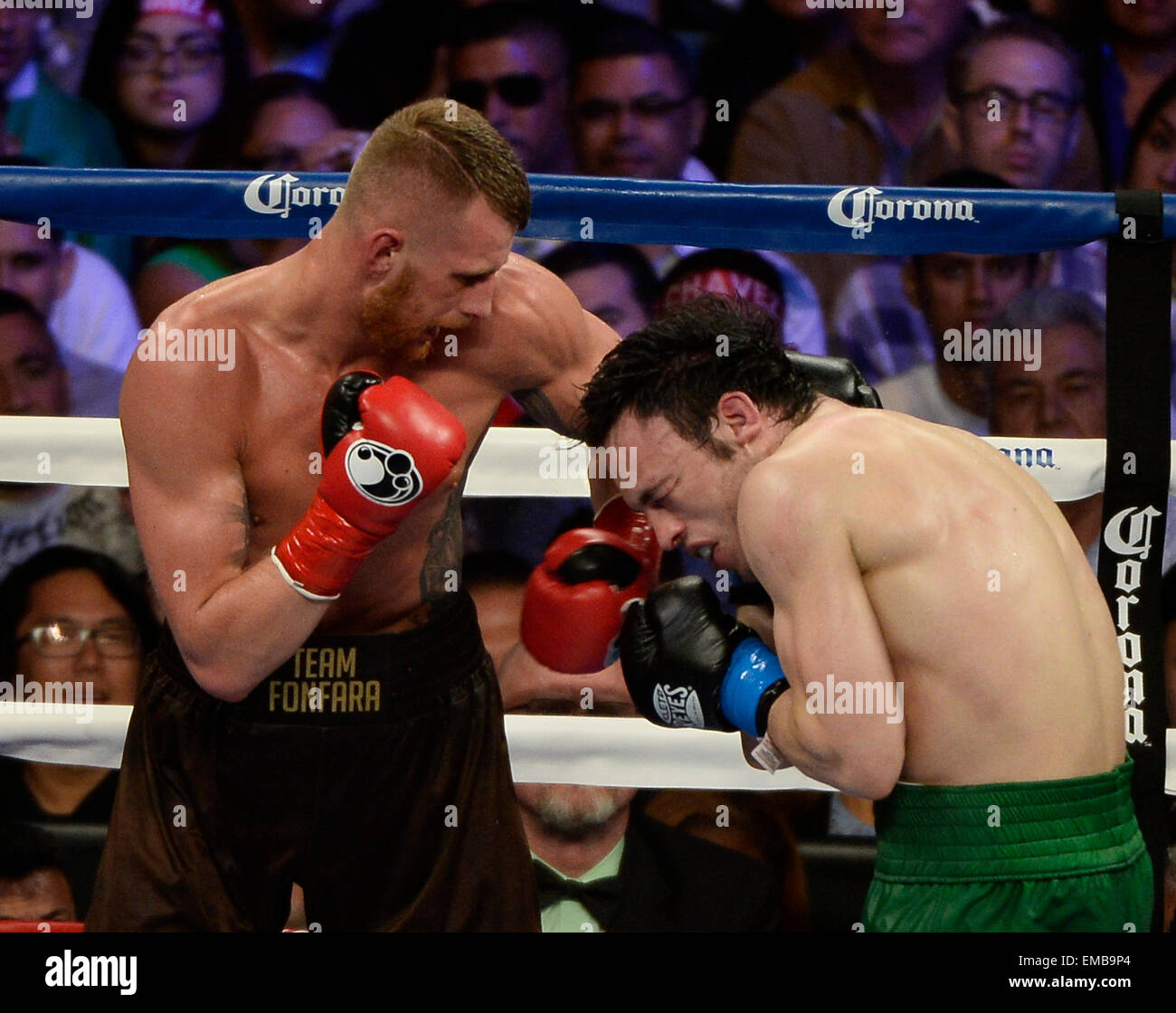 April 18.2015. Carson CA.(in Green trunks) Julio Cesar Chavez Jr only ...