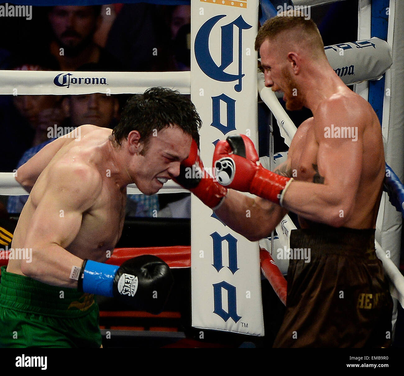 April 18.2015. Carson CA.(in Green trunks) Julio Cesar Chavez Jr only ...