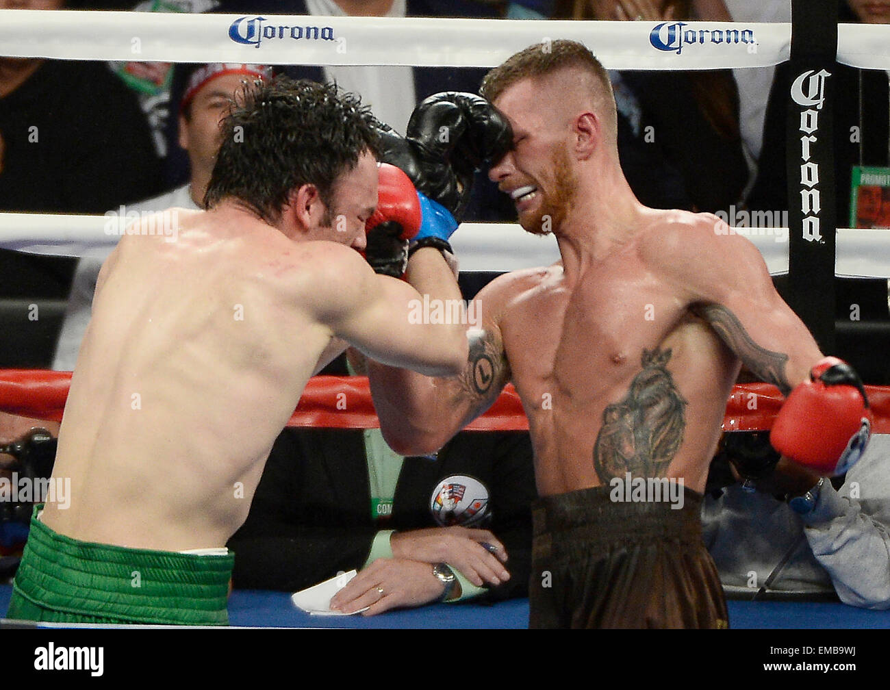 April 18.2015. Carson CA.(in Green trunks) Julio Cesar Chavez Jr only ...
