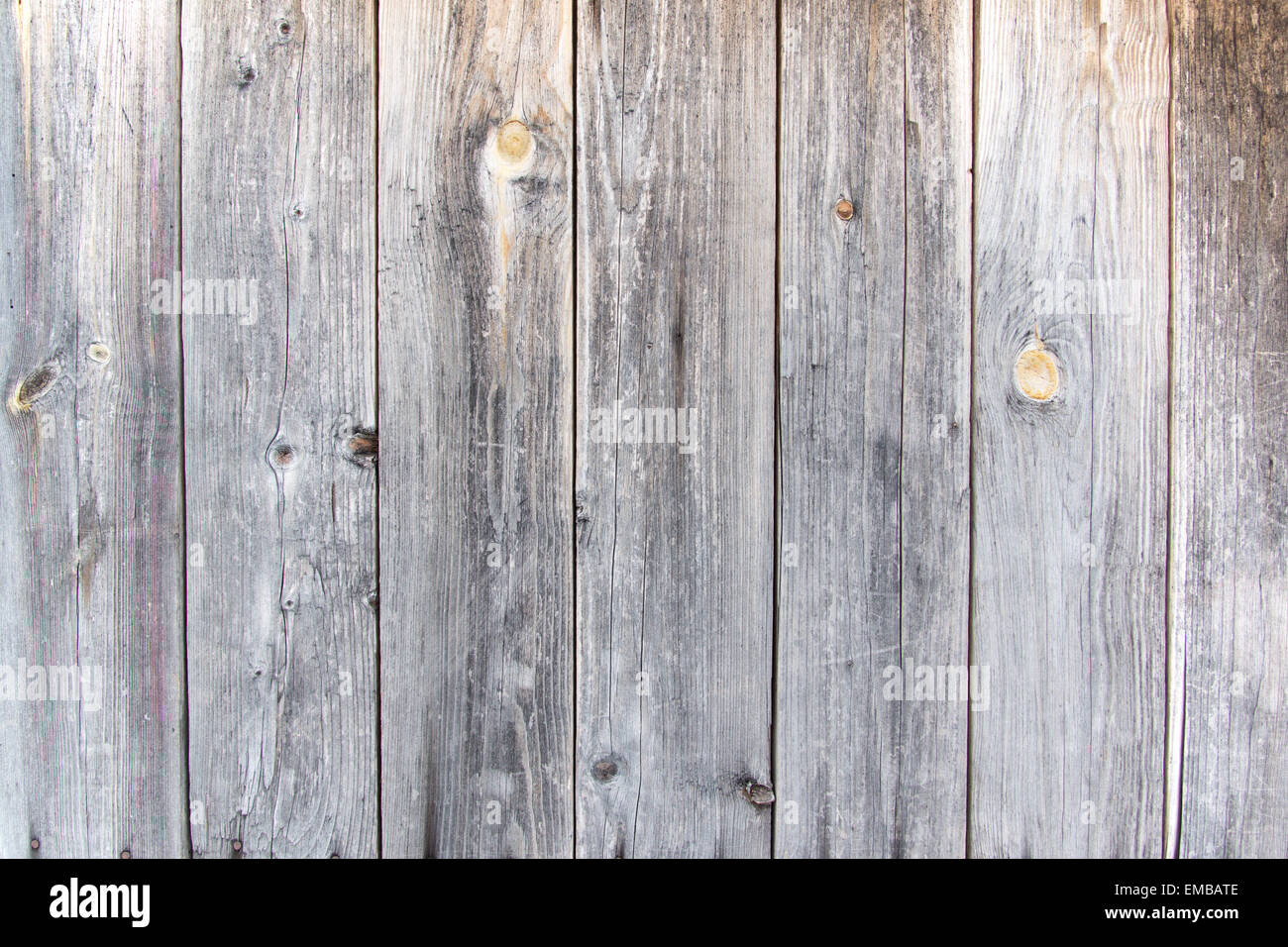 Texture of wood with vertical boards. The tree a natural way grew old ...