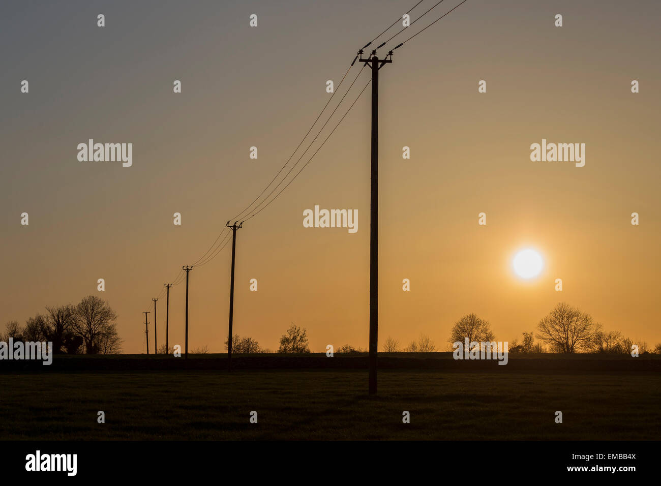 Electricity/telegraph poles in golden sunset form a line into the ...