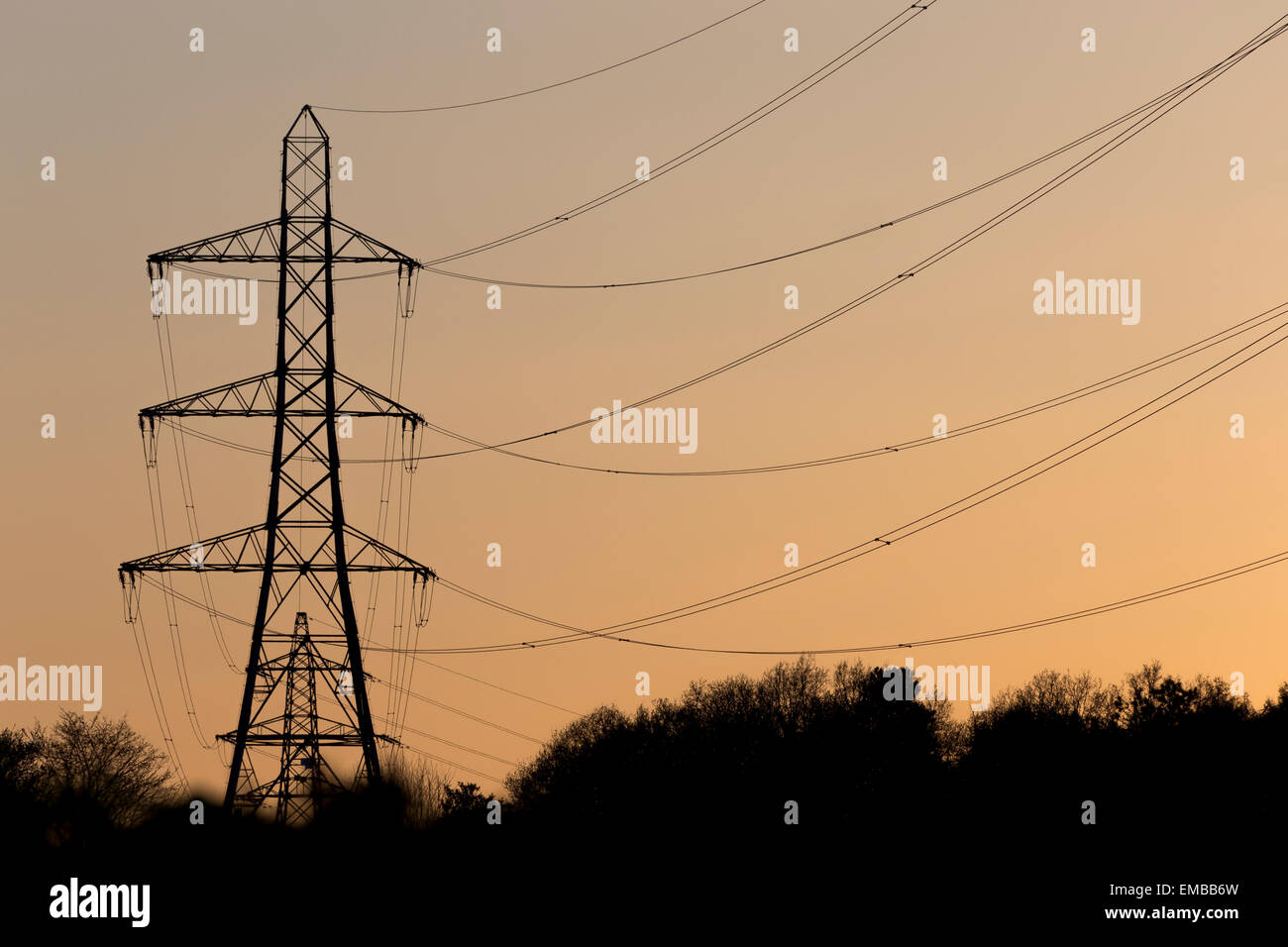 Electricity Pylon above a woodland is cast in shadow against a setting ...