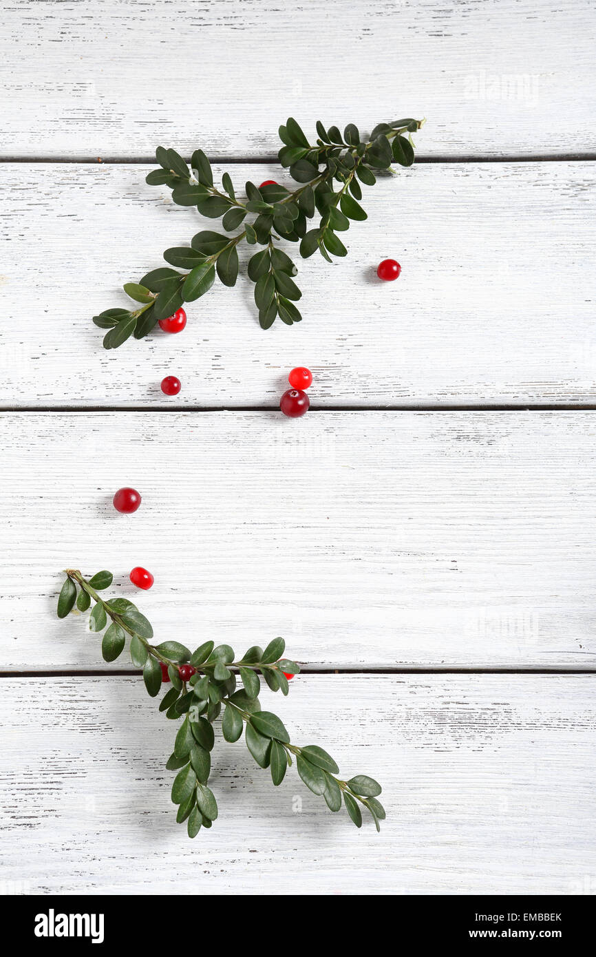 Berry sprig hi-res stock photography and images - Alamy