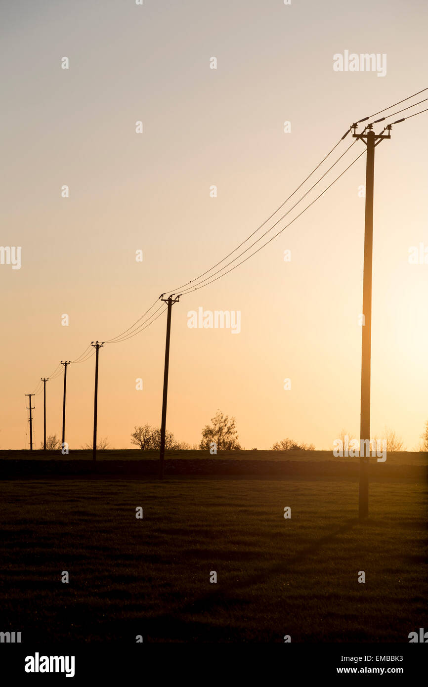 Electricity/telegraph poles in golden sunset form a line into the ...