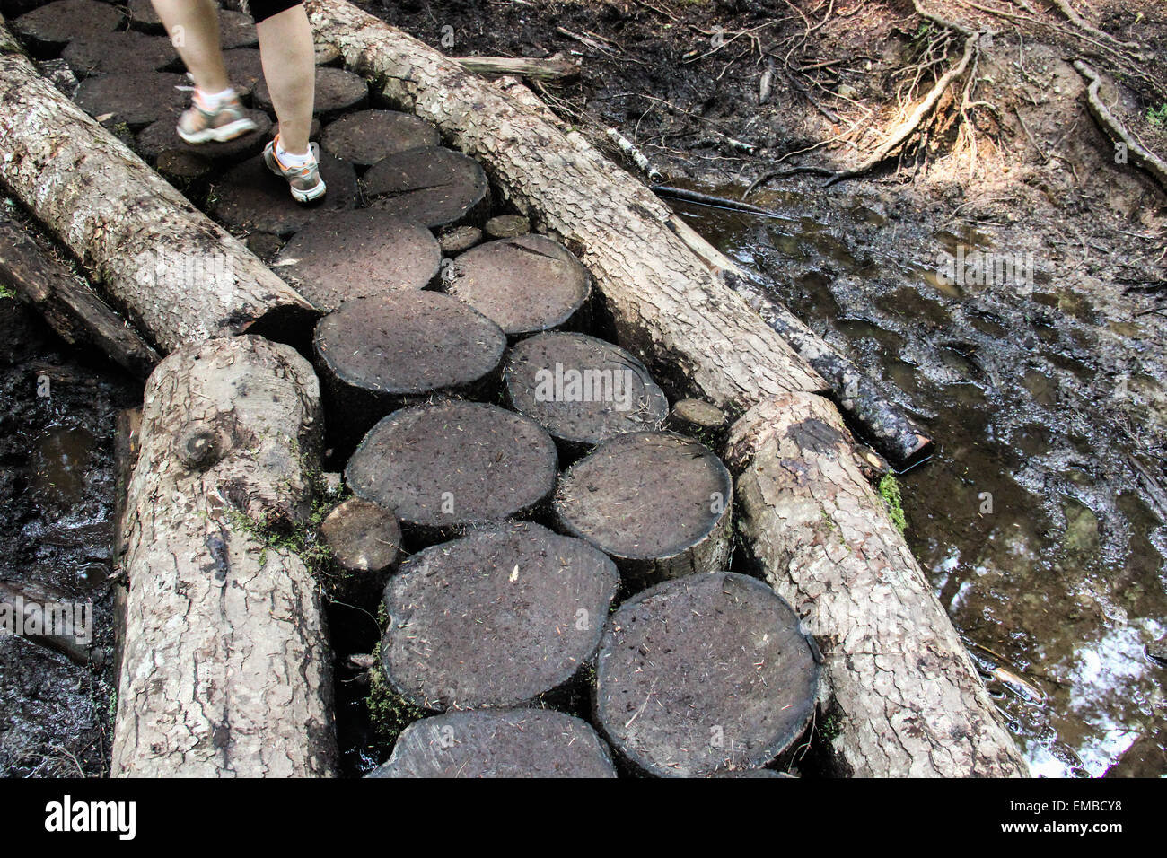 Log walkway hi-res stock photography and images - Alamy