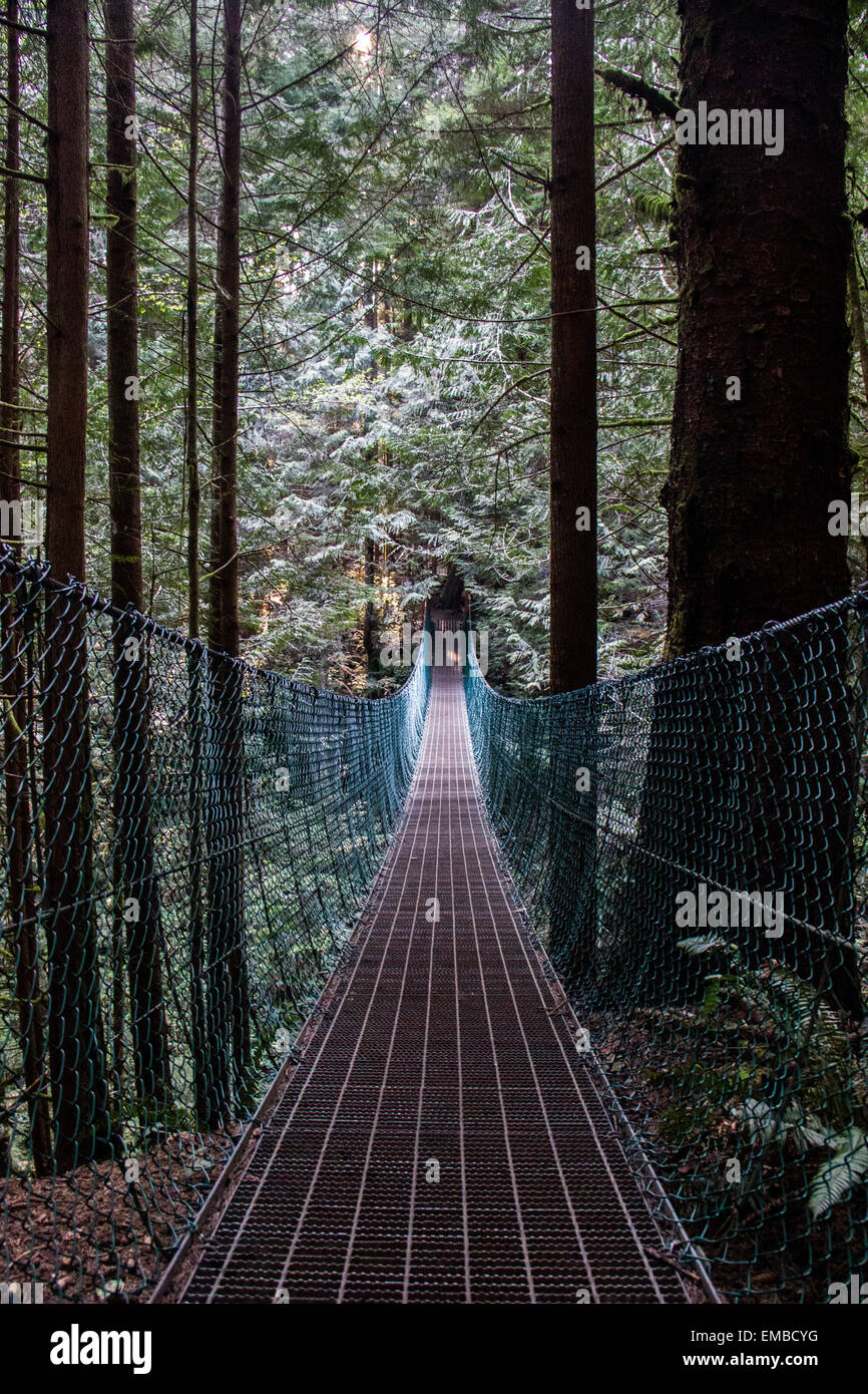 Bc suspension bridge hi-res stock photography and images - Alamy