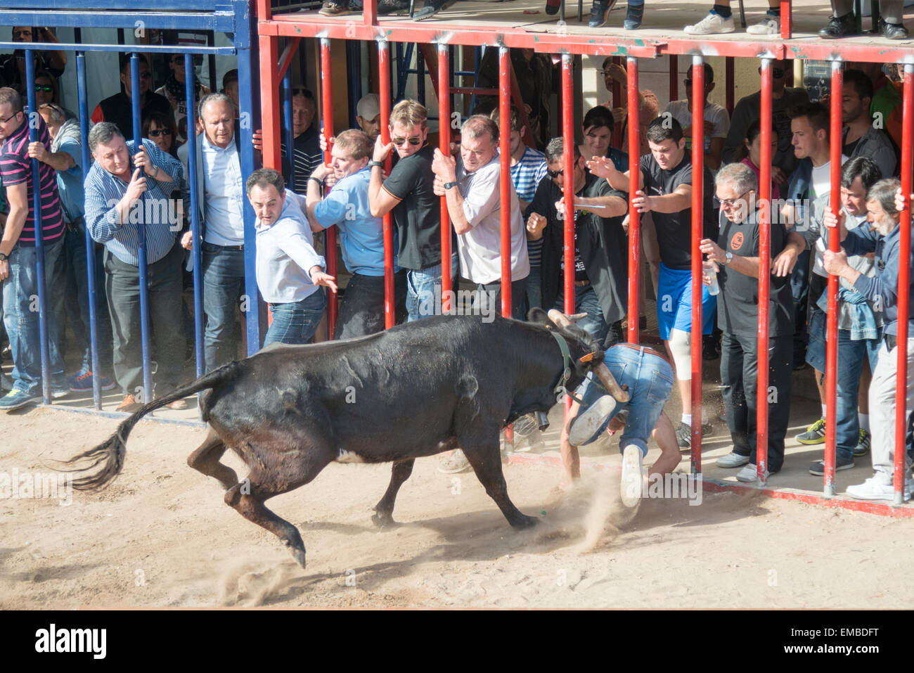 Bul goring man hi-res stock photography and images - Alamy