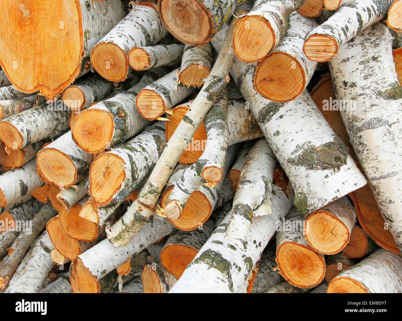 Pile of white logs Stock Photo - Alamy
