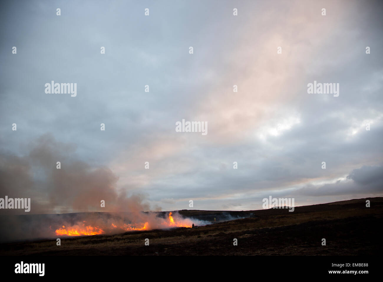 the moor on fire during a controlled burn Stock Photo - Alamy
