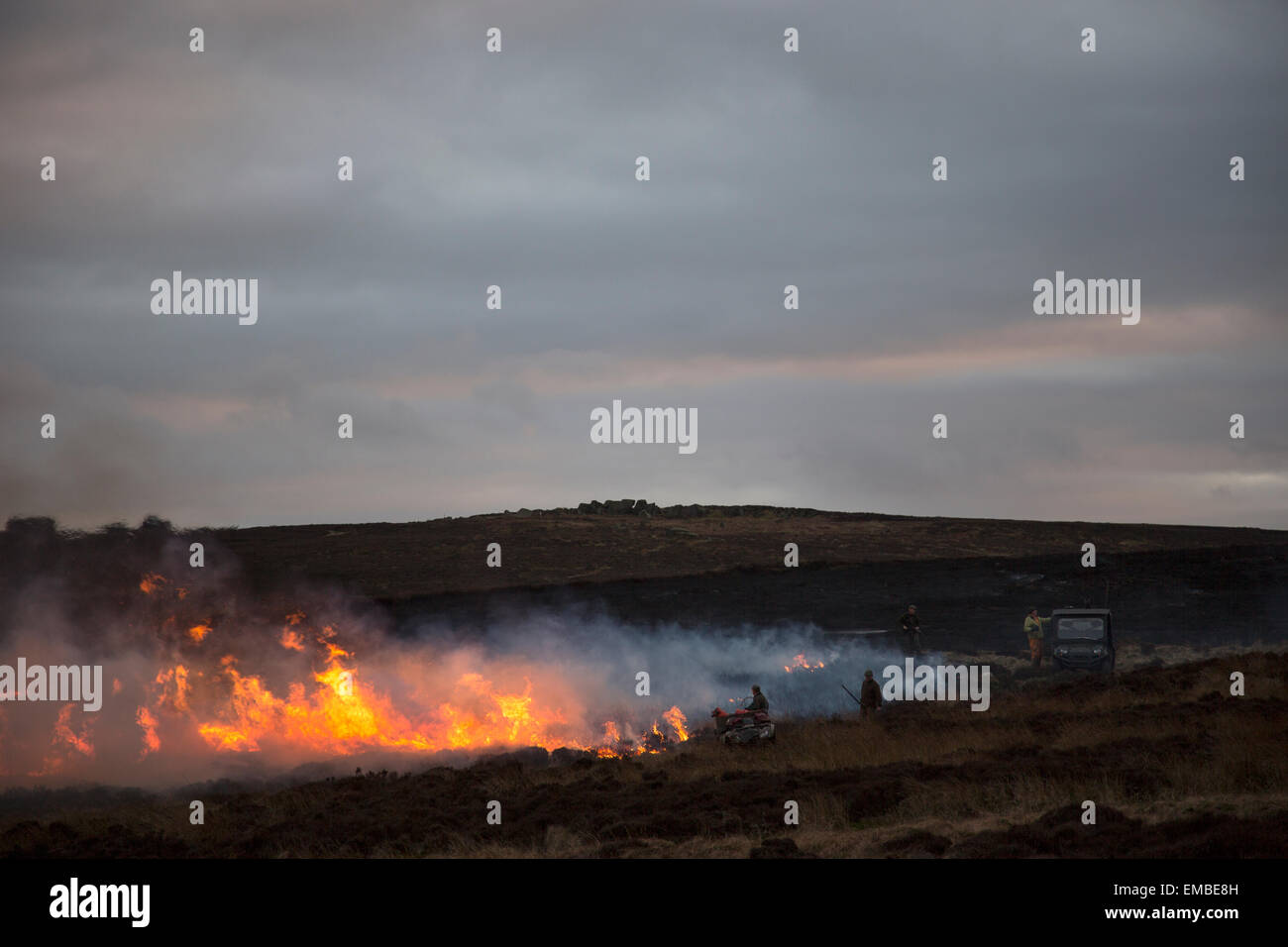 moor workers working a cotrolled burn, burning the moor's heather and ...