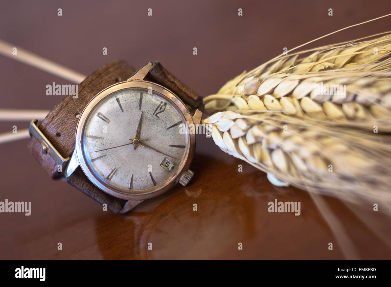 Old wrist watch Stock Photo - Alamy