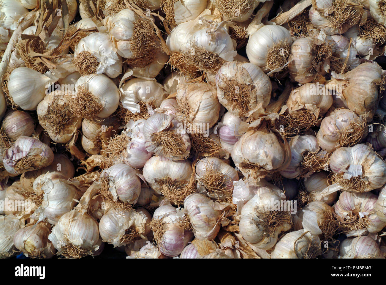 Bunch of dryed garlic on a market stand in Provence France Stock Photo ...