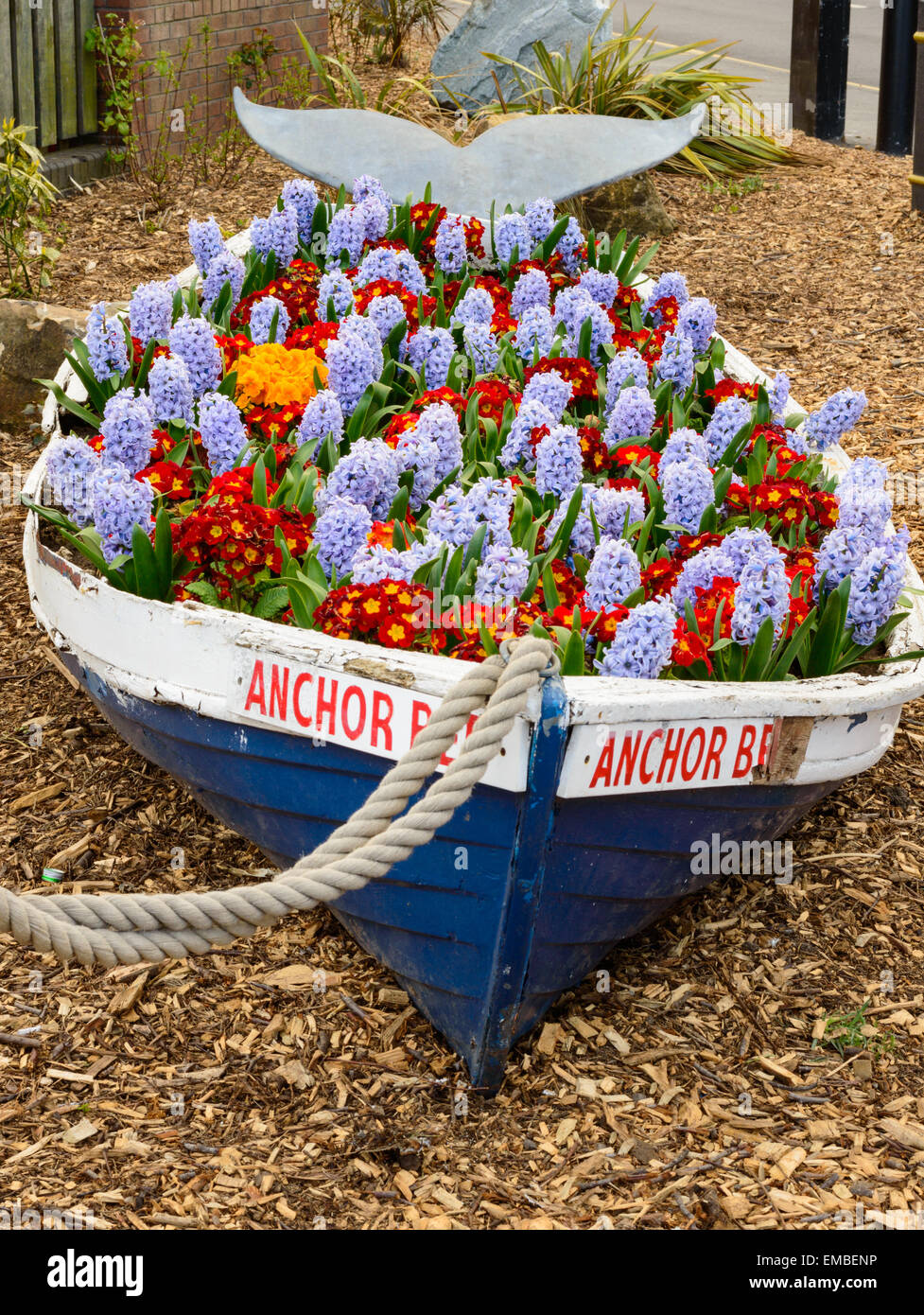 A floral display in an old rowing boat, in the fishing town of Whitby ...