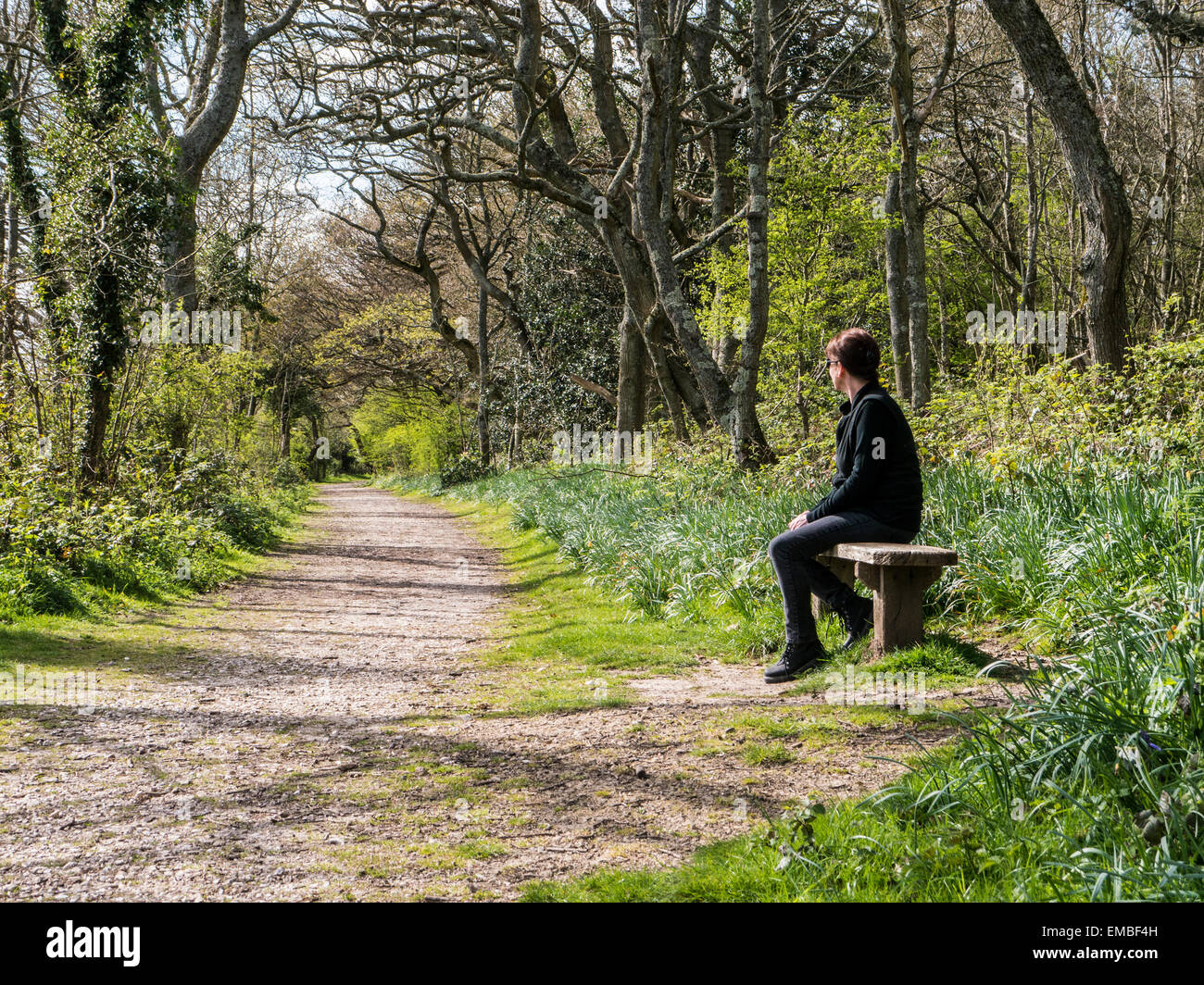 Warm spring sunshine - Warren Hill in the South Downs National Park ...