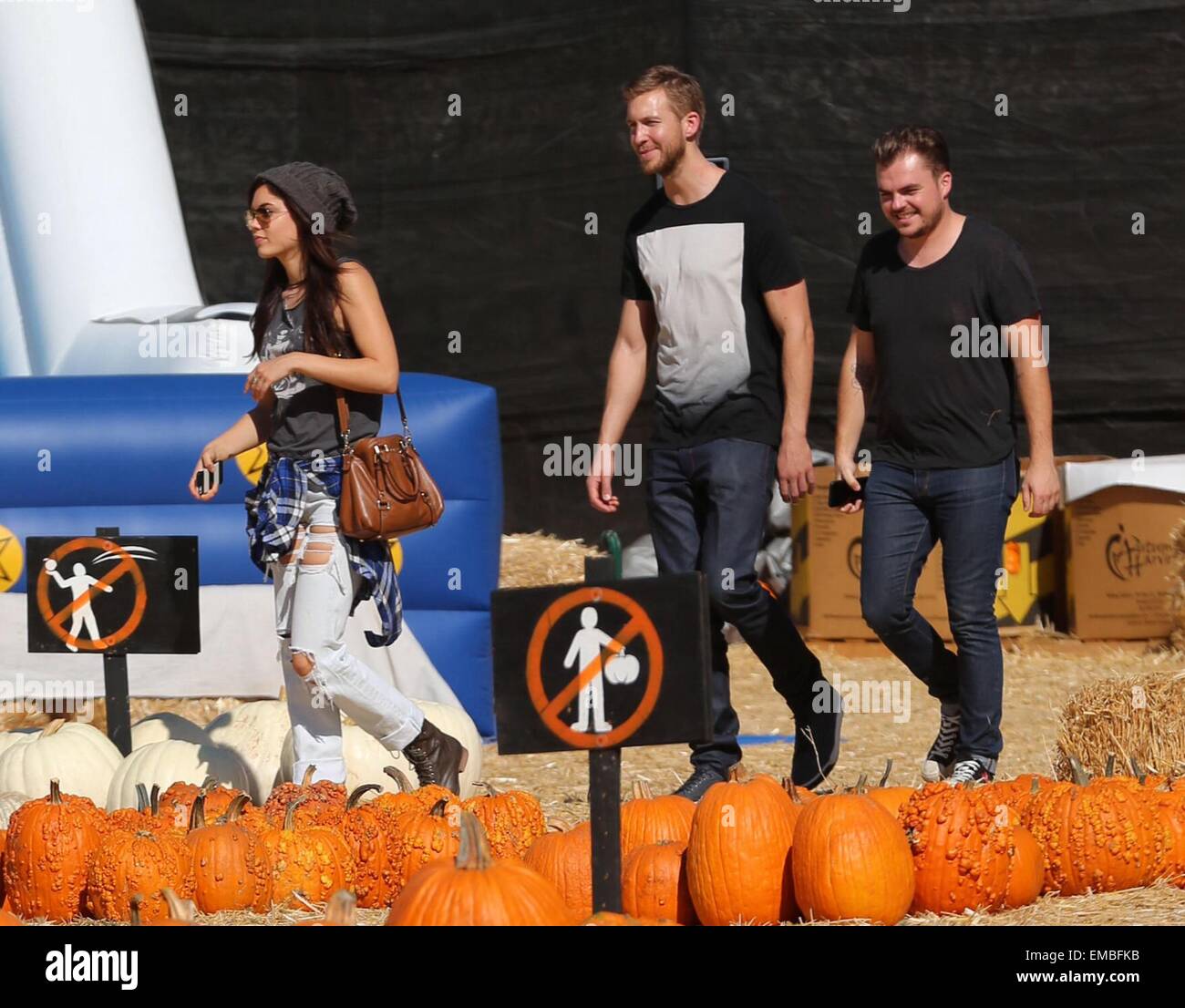 Calvin Harris and his new girlfriend, model Aarika Wolf, pick out ...