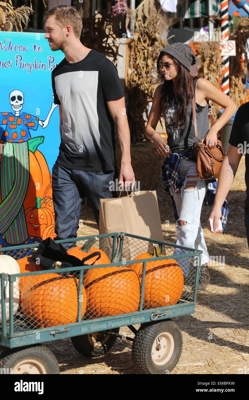 Calvin Harris and his new girlfriend, model Aarika Wolf, pick out ...