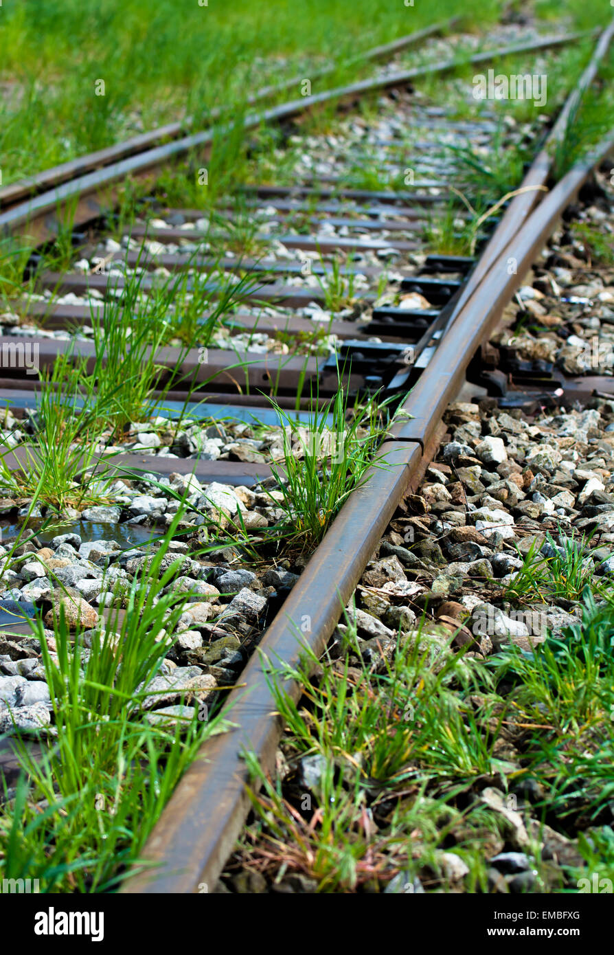 Old Overgrown Train Tracks With Turnout Stock Photo - Alamy