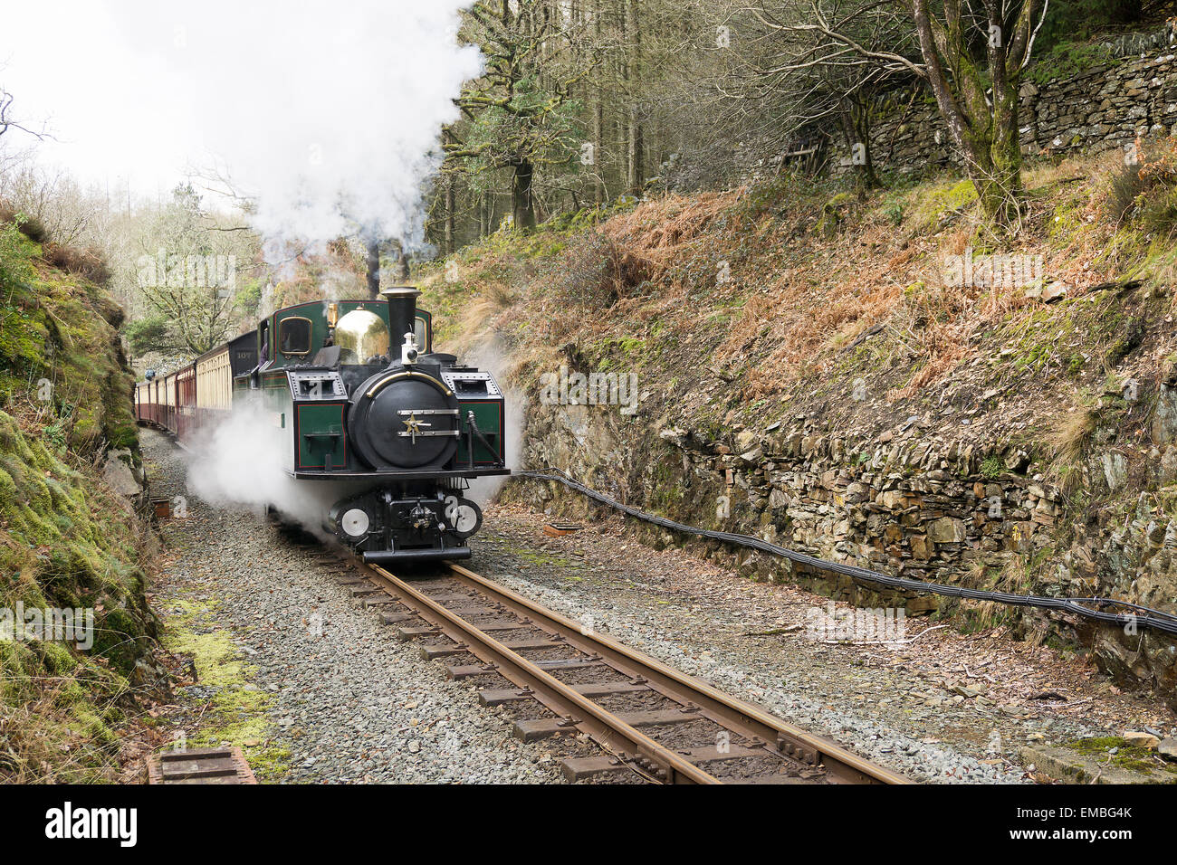 Steam train pulling passengers on the Ffestiniog railway Stock Photo ...