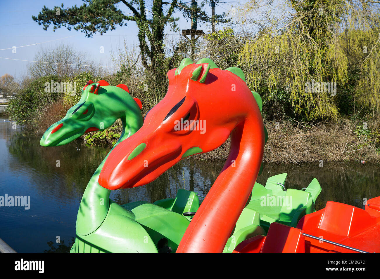 Two dragons in welsh colours showing red in the lead of the upcoming ...