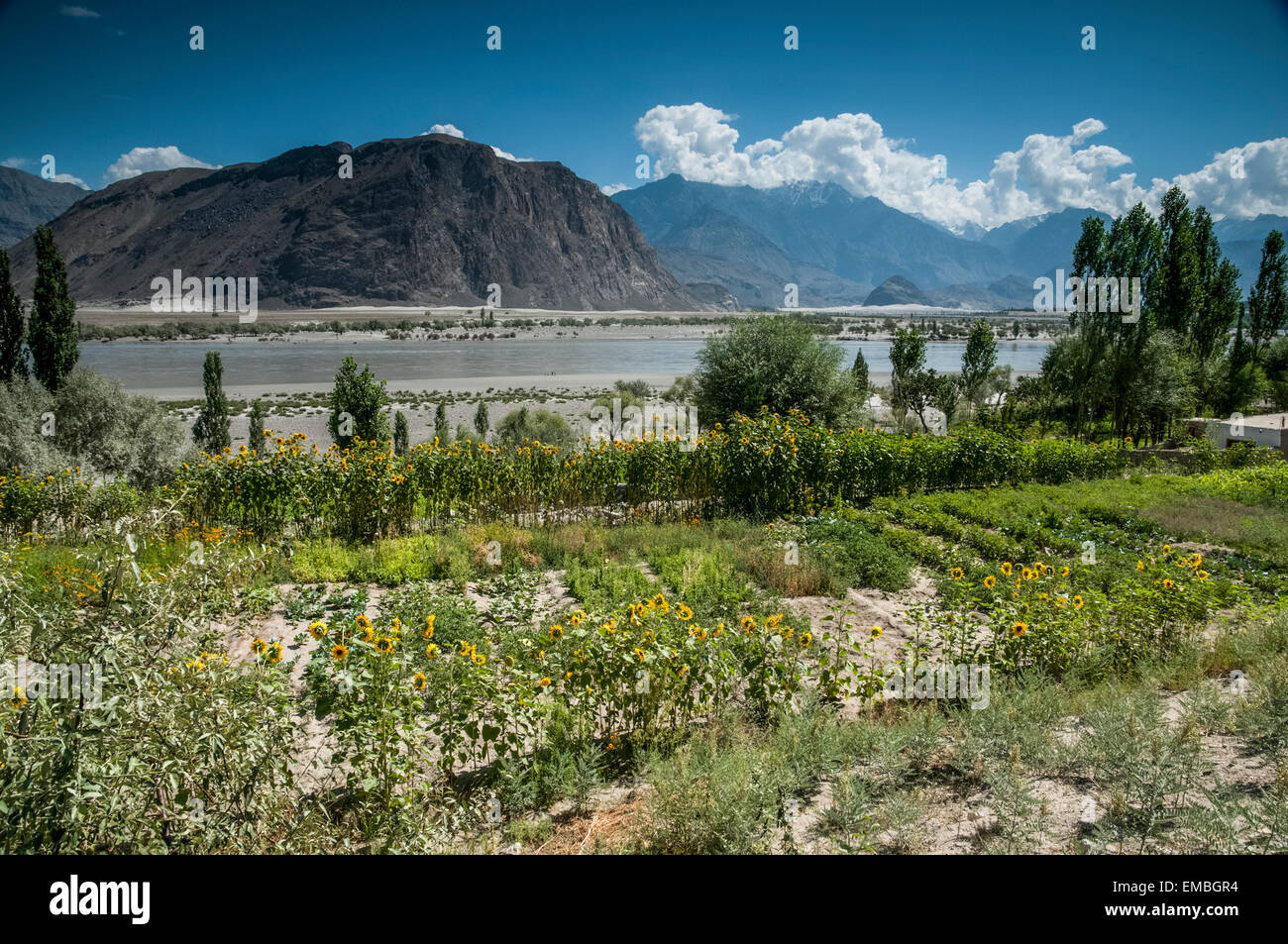 Skardu Town and the River Indus Stock Photo - Alamy