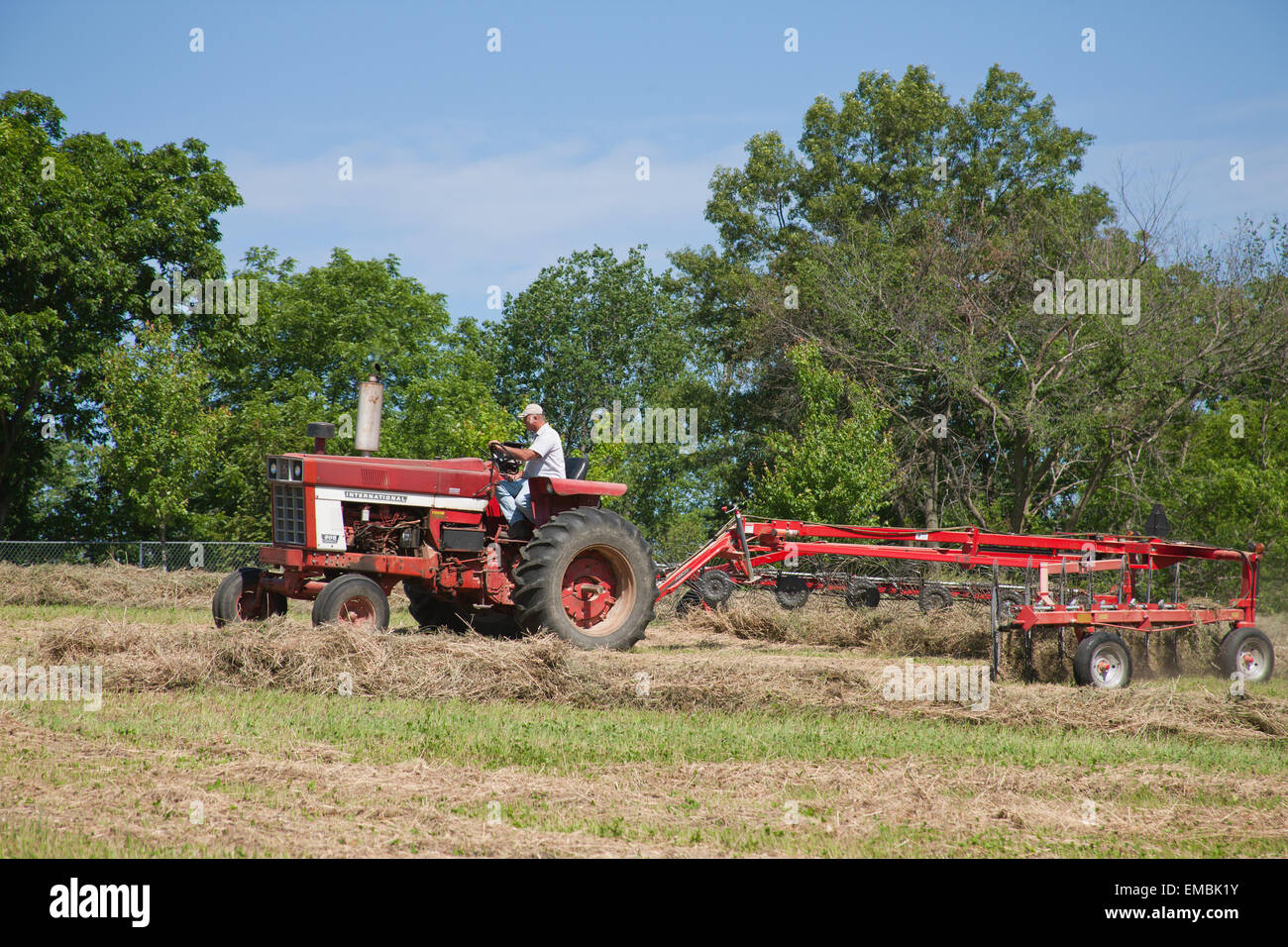 Man On International Harvester Farmall Tractor Pulling A Hay Rake To Rake The Hay In A Field