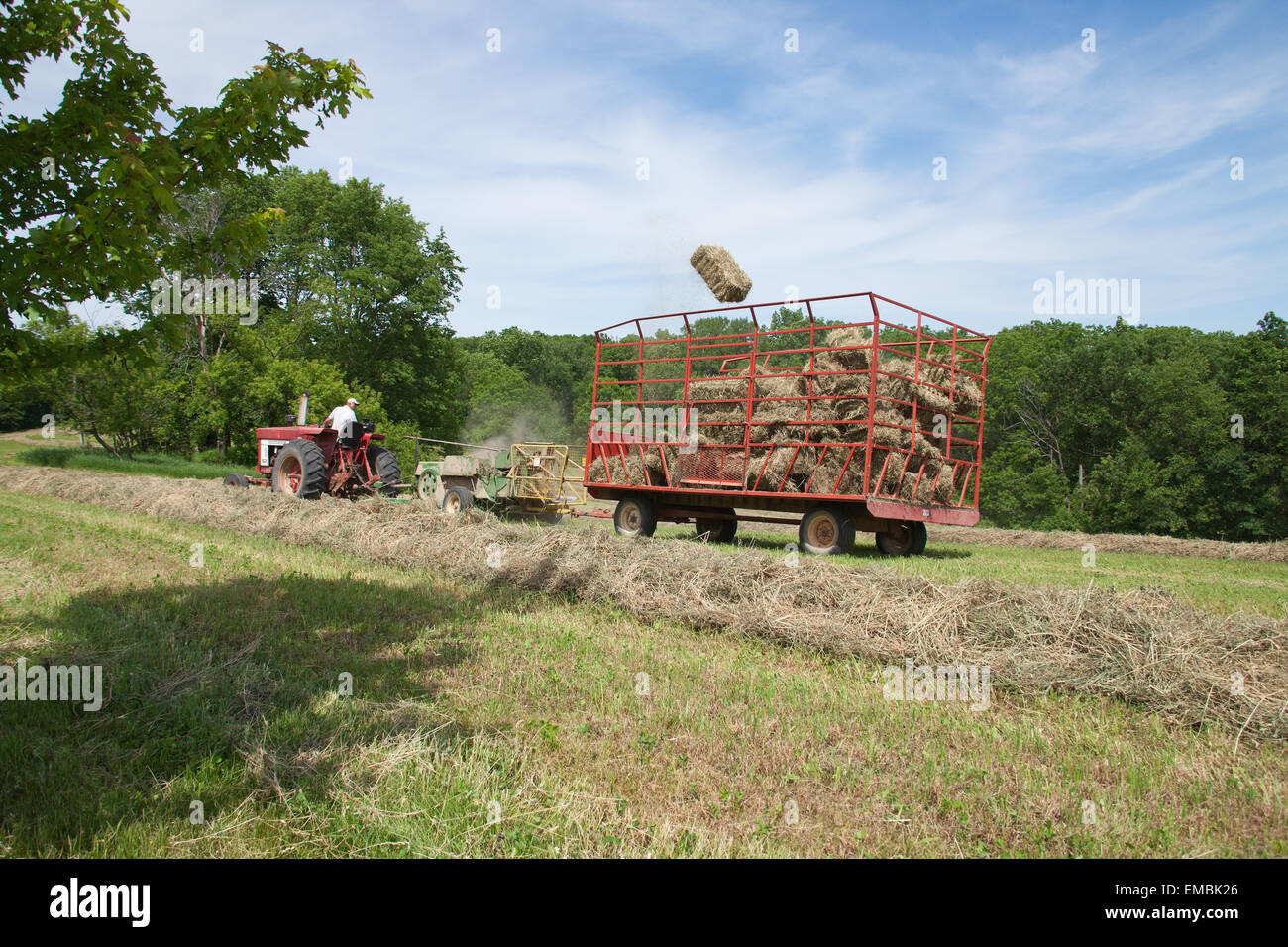Man on International Harvester Farmall tractor, baling hay in a field ...