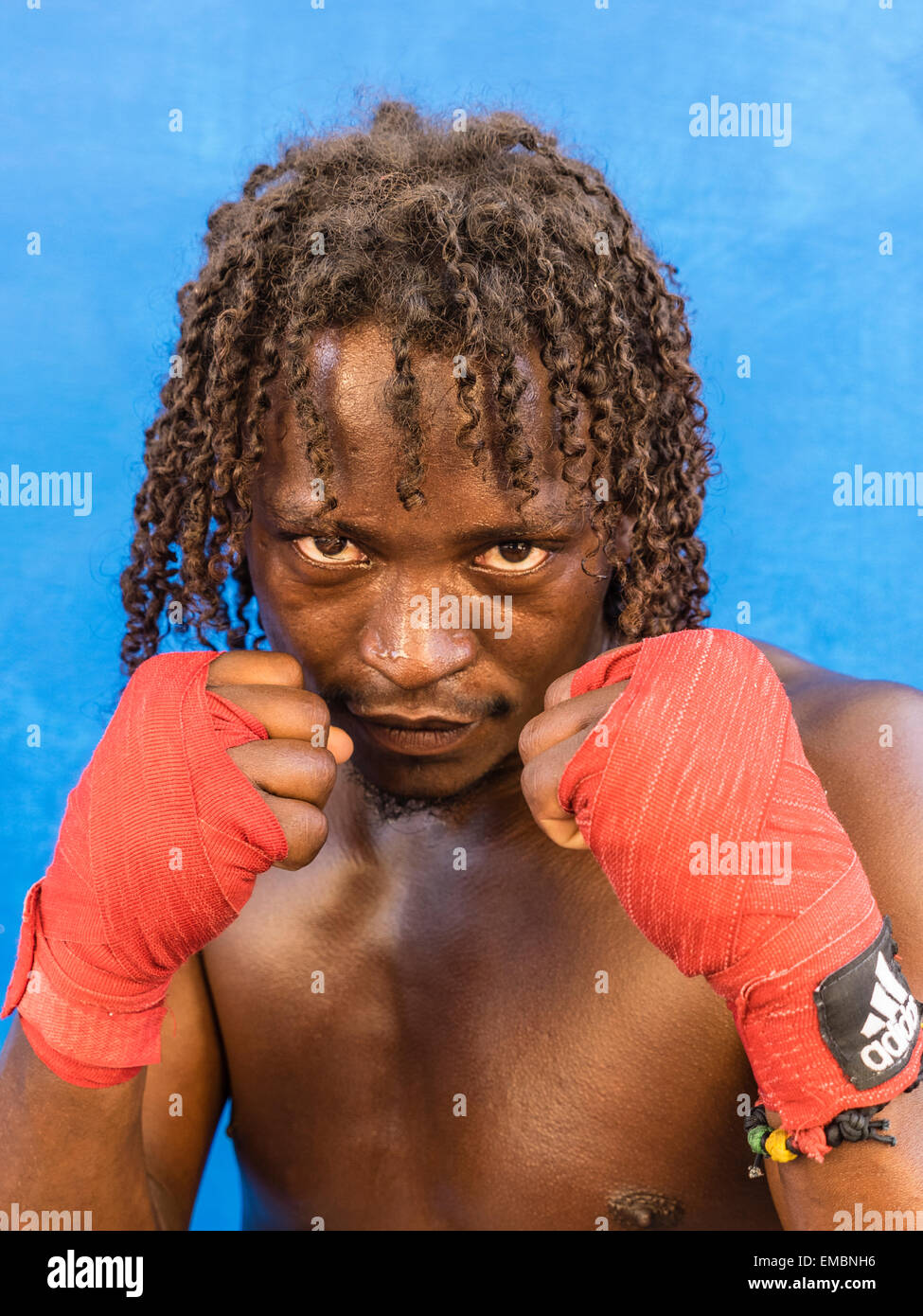 Close-up portrait of an Afro-Cuban boxer holding his red wrapped fists ...