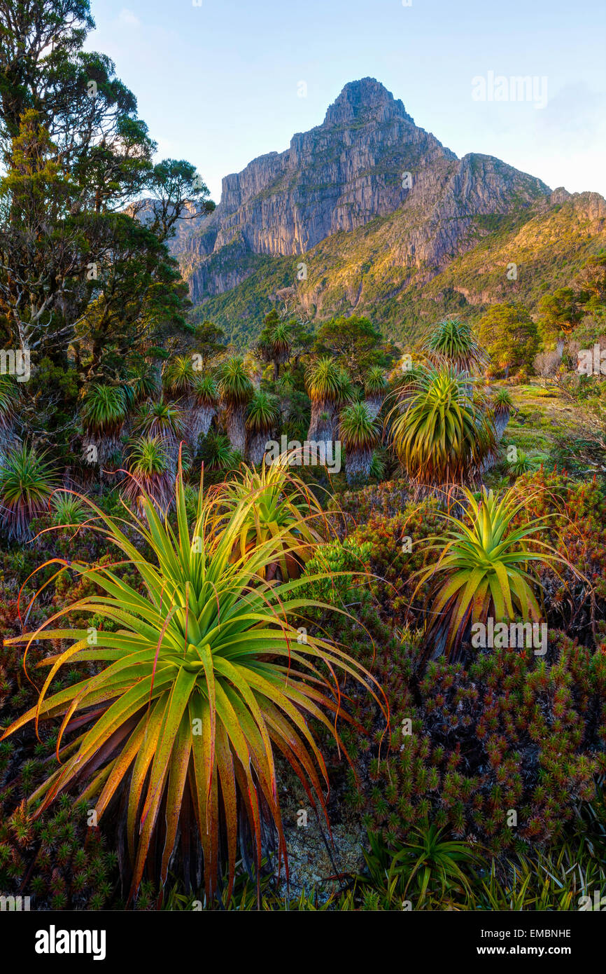 Mount anne tasmania hi-res stock photography and images - Alamy