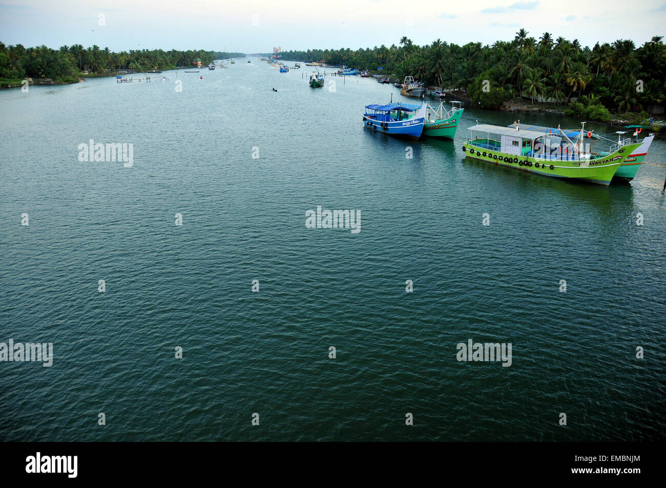 Beautiful view group trees hi-res stock photography and images - Alamy
