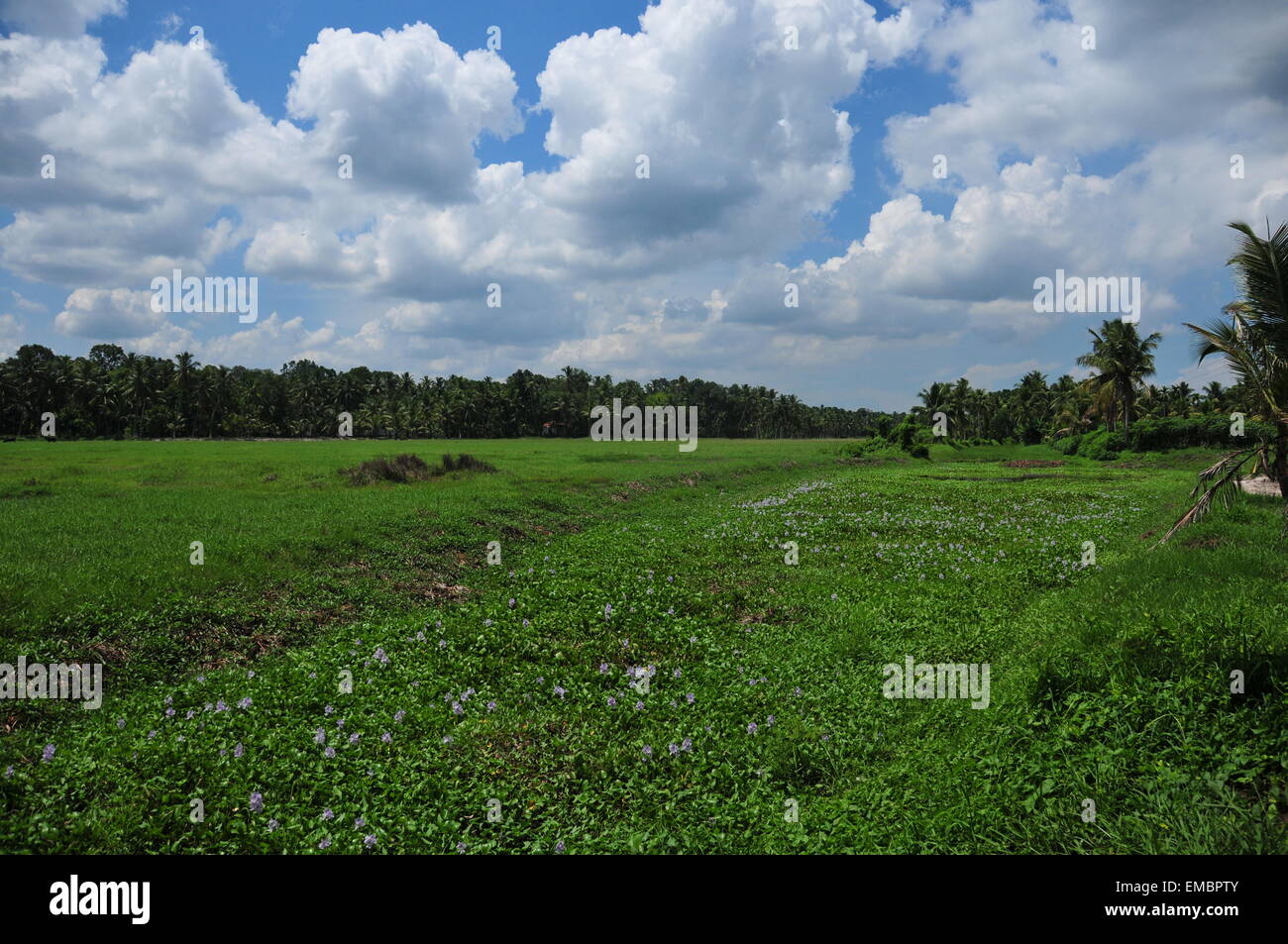 Keala hi-res stock photography and images - Alamy