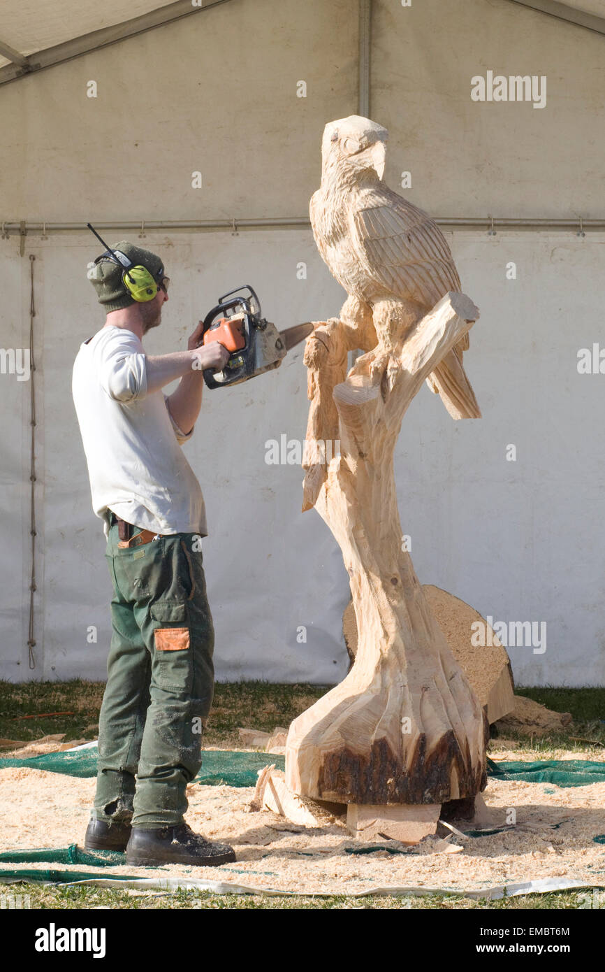 Man using a chainsaw to carve statues out of trunks of trees Stock ...