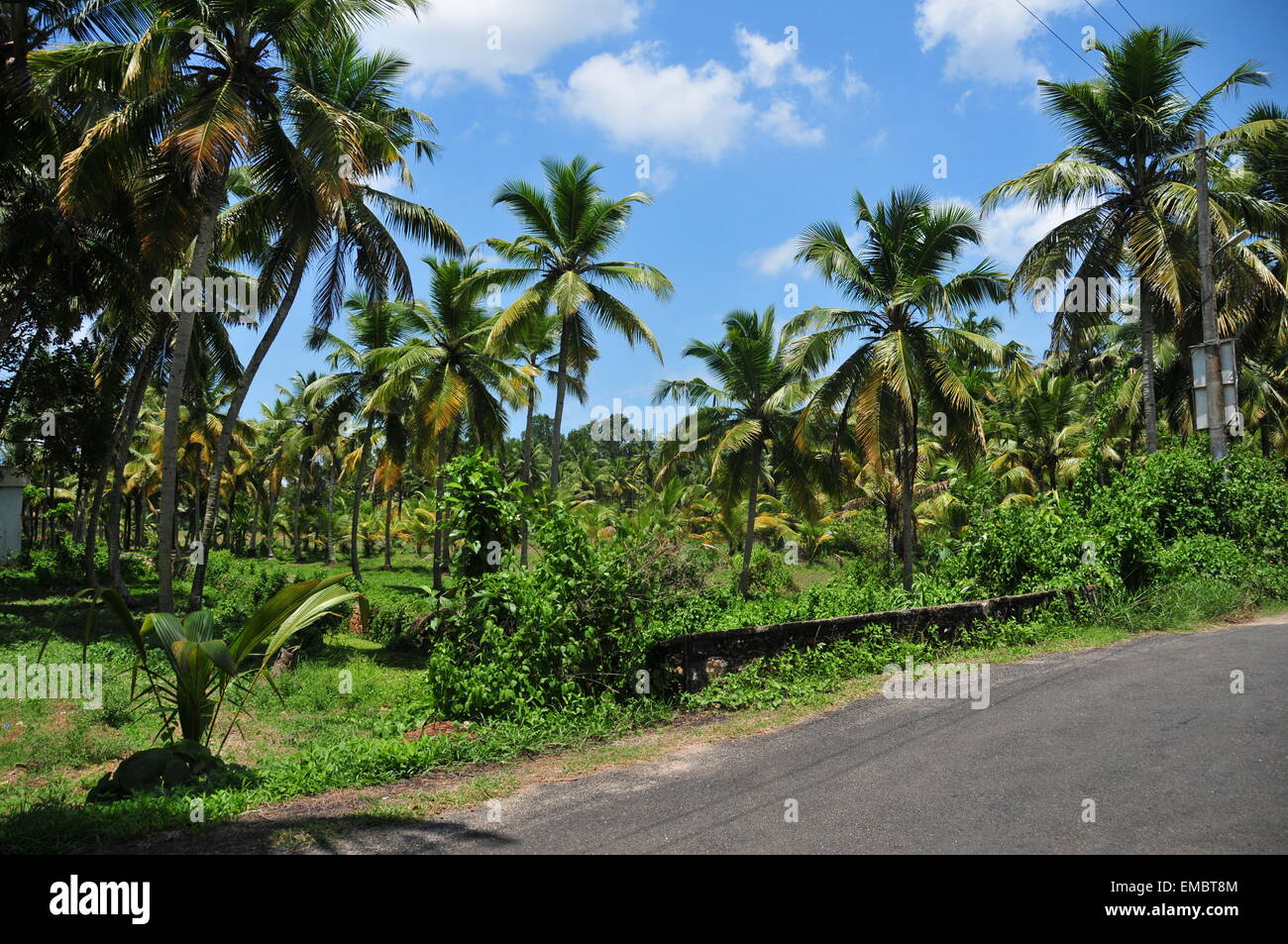 The village road hi-res stock photography and images - Alamy