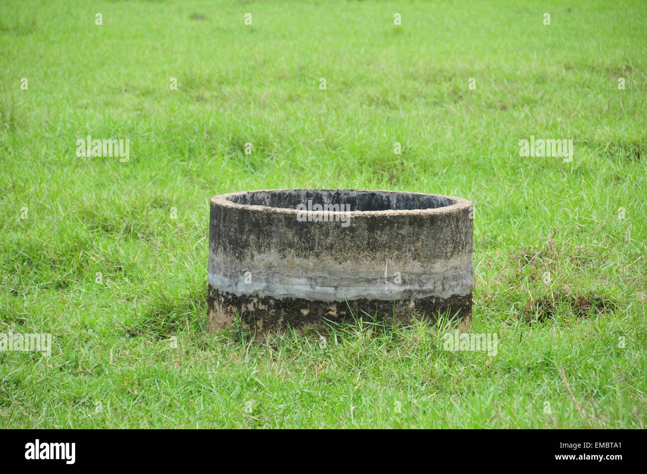 Green plants for better planet Stock Photo - Alamy