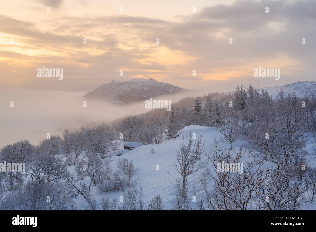norway, norwegian, fjord, morning, fog, mountain, landscape, nature ...