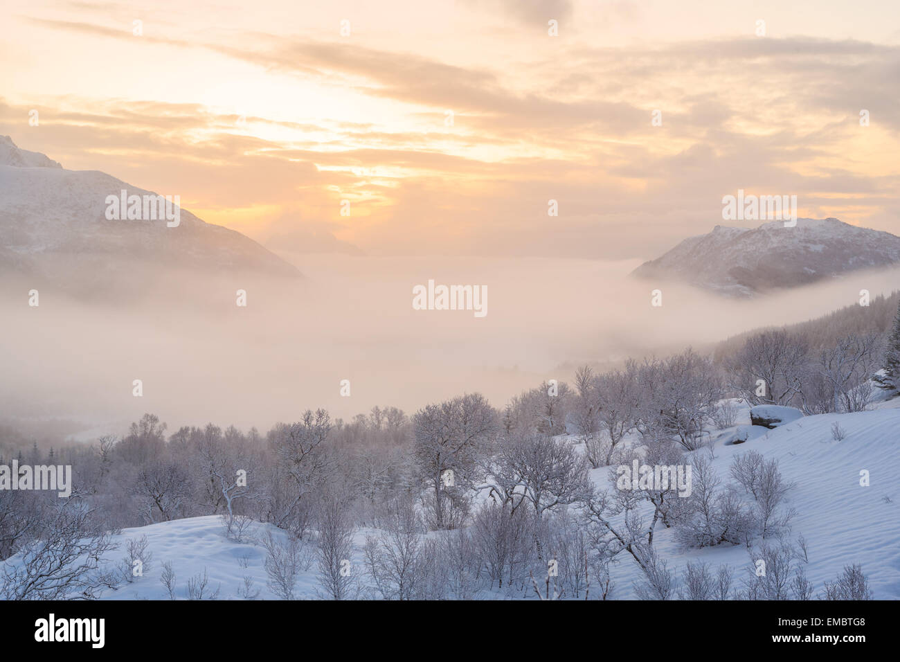 norway, norwegian, fjord, morning, fog, mountain, landscape, nature ...