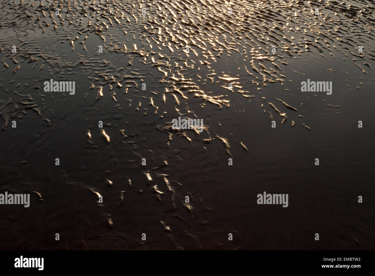 Sand ripples on a falling tide at Wells beach in Norfolk, England, UK ...