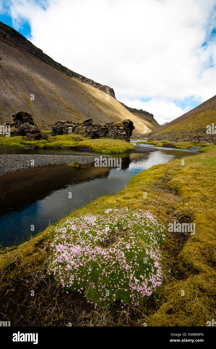Eldgja iceland hi-res stock photography and images - Alamy